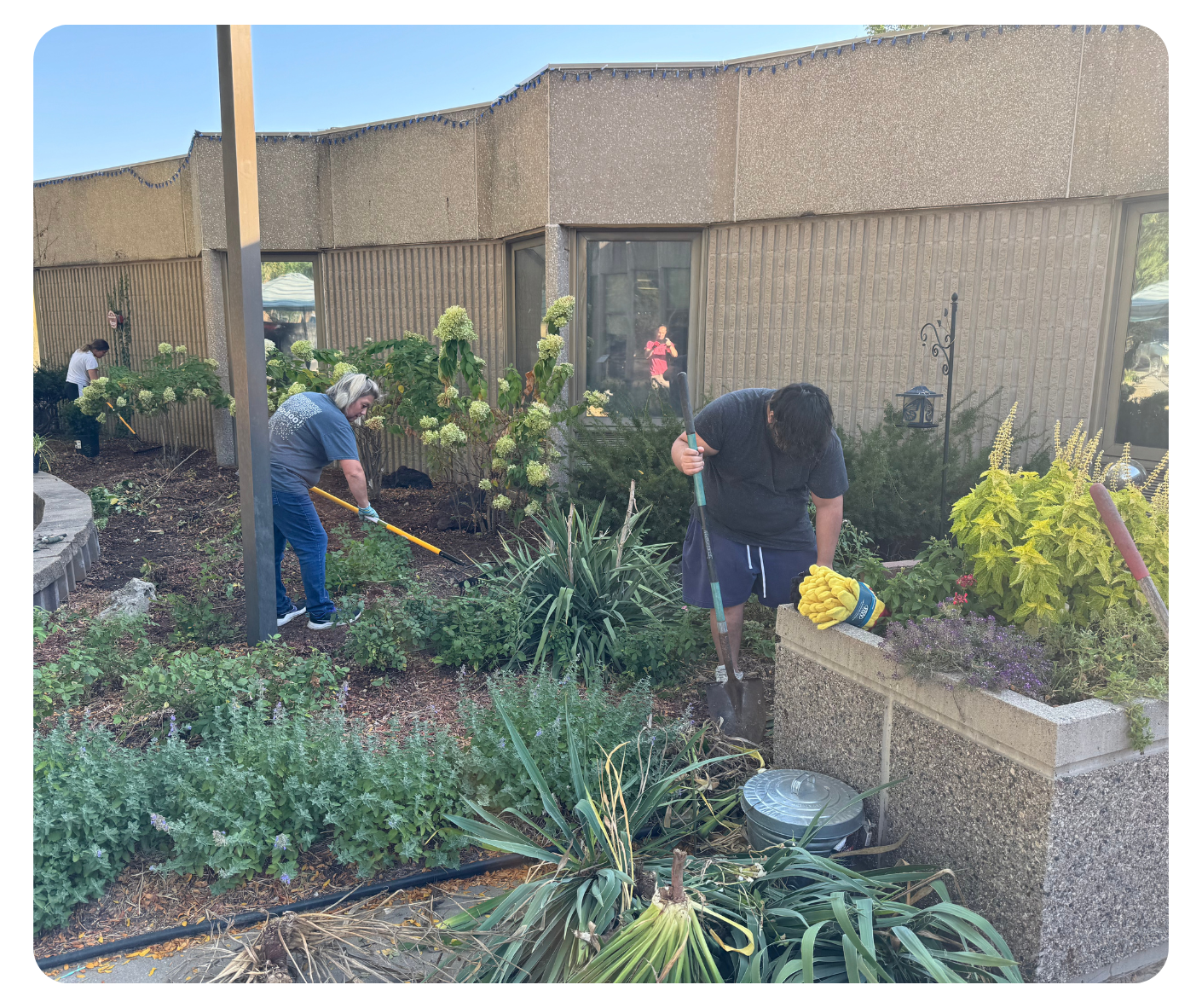 Why Volunteering matters! | Bethany Lutheran Health Services